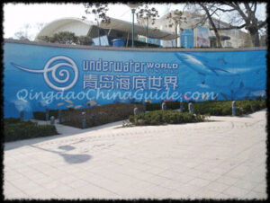 Qingdao Underwater World | Qingdao China Guide